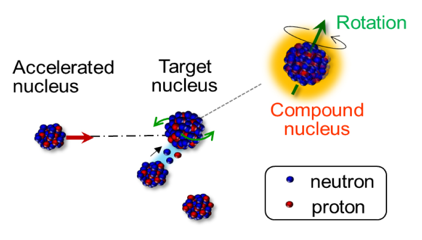 Japan Atomic Energy Agency Sector of Nuclear Science Research Advanced ...