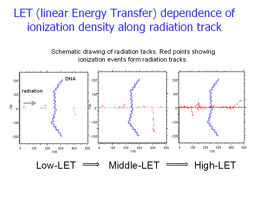 の趣味：ギャラリー